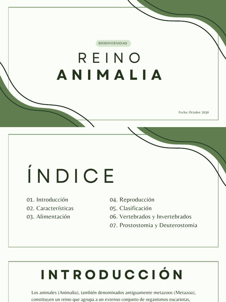 Reino Animalia | PDF | Eucariotas | Reproducción