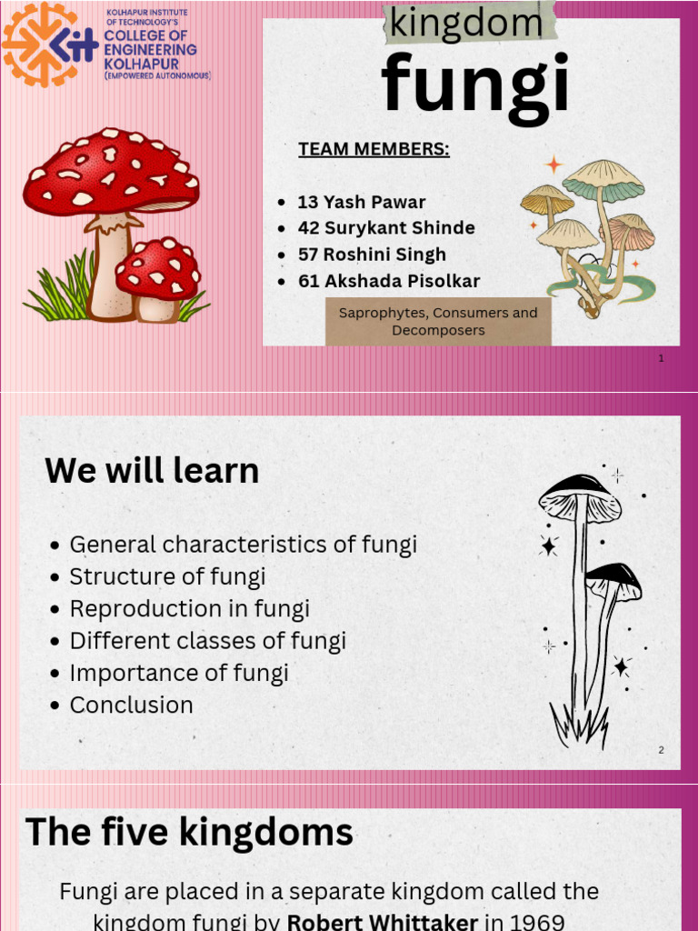 Fungi 20250808 192931 0000 Compressed | PDF | Fungus | Sexual Reproduction