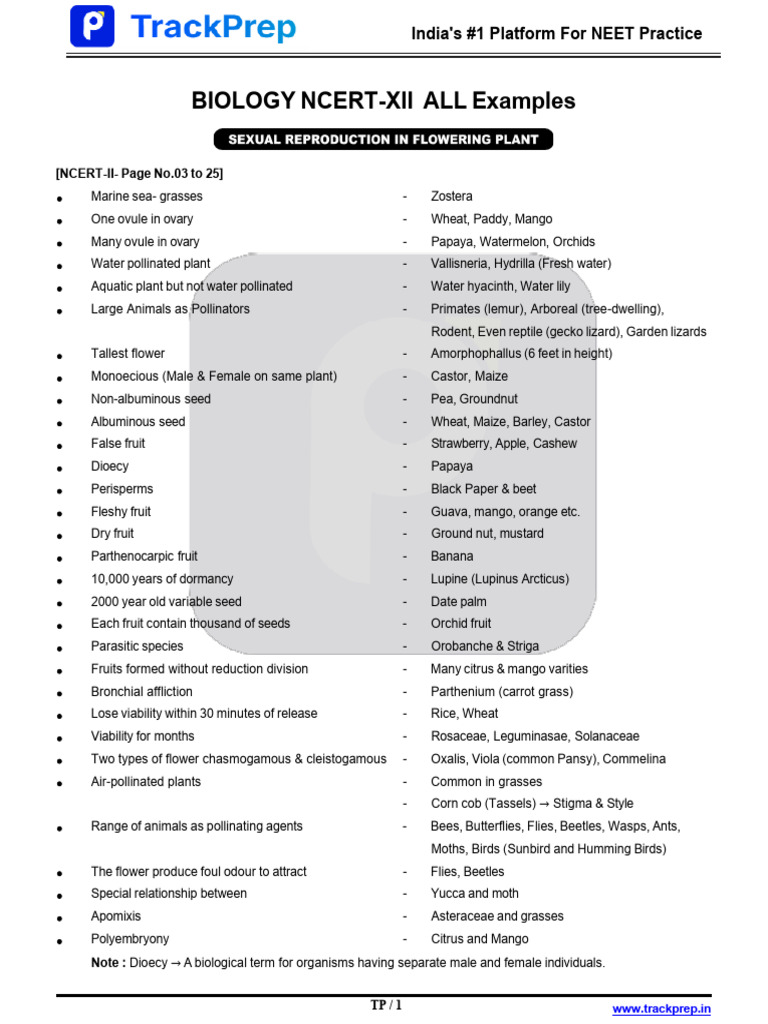 Biology Ncert-Xii All Examples | PDF | Transgene | Food Web
