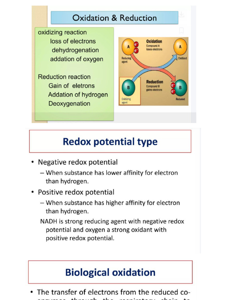 Biological Oxidation | PDF
