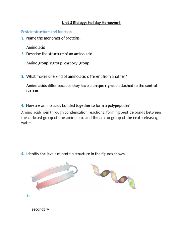 biology holiday Homework (1) | PDF | Exon | Rna Splicing