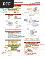 MTP and IP Joint Overview in Foot | PDF | Foot | Toe