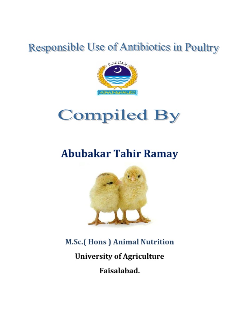 Responsible Use of Antibiotics in Poultry | Poultry Farming | Infection