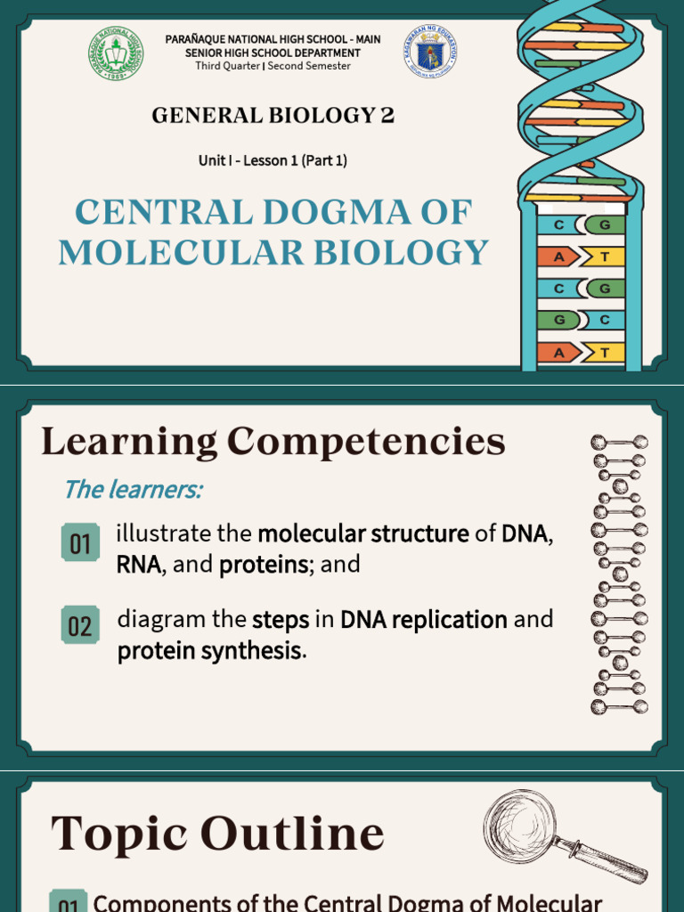 Components of The Central Dogma of Molecular Biology | PDF | Dna | Rna