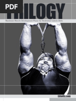 Power Lifting Matrix | PDF | Weight Training | Strength Training