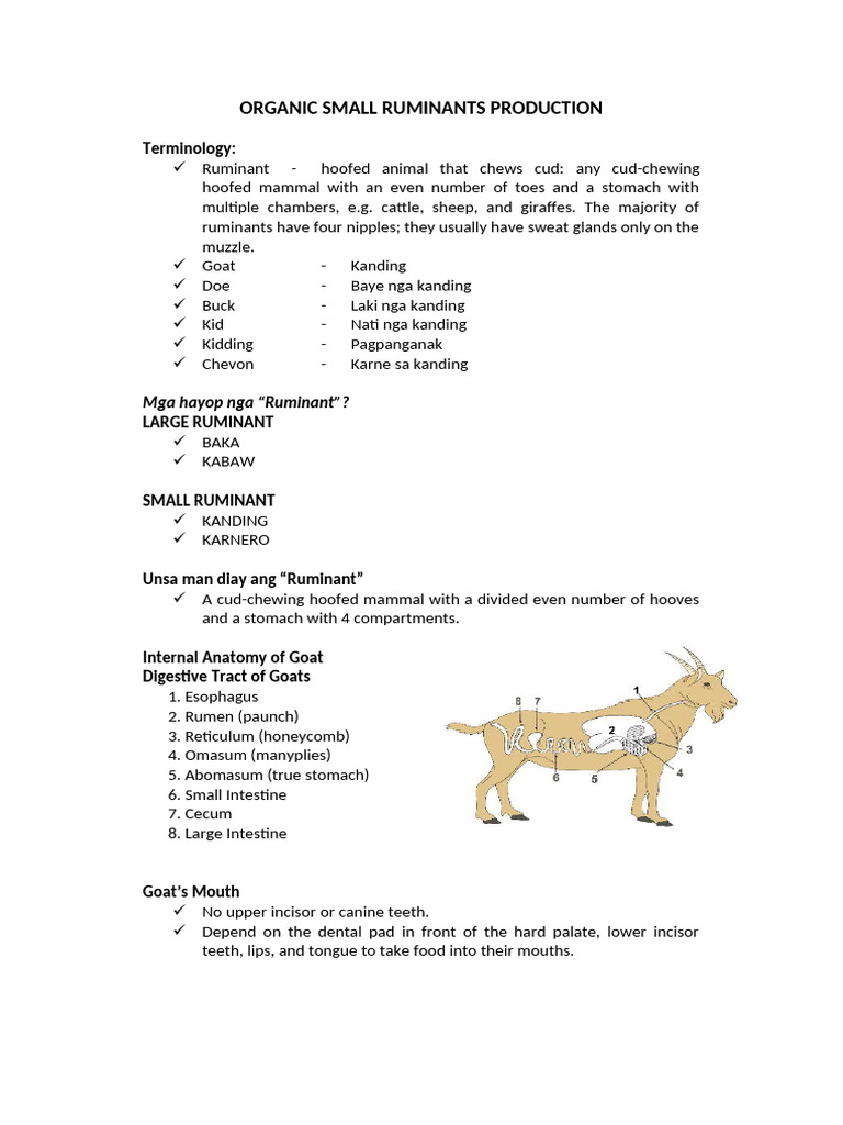 Organic Small Ruminants Production | PDF