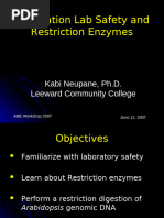 NEBcutter 2.0: Restriction Enzyme Tool | PDF