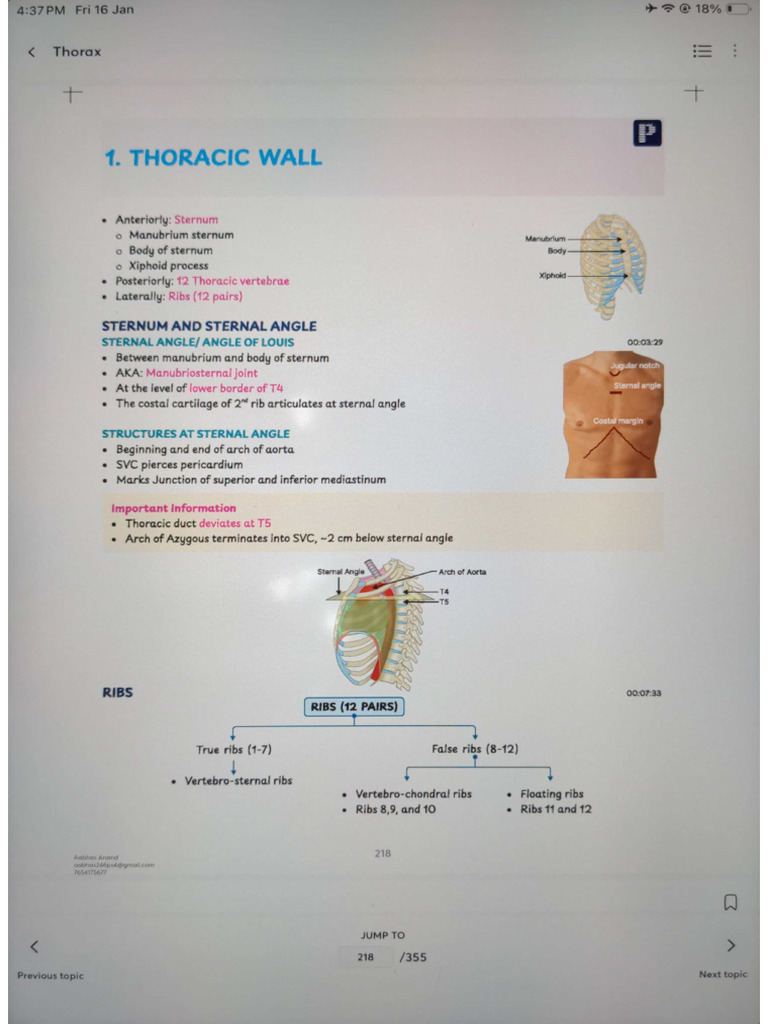 Thorax X | PDF