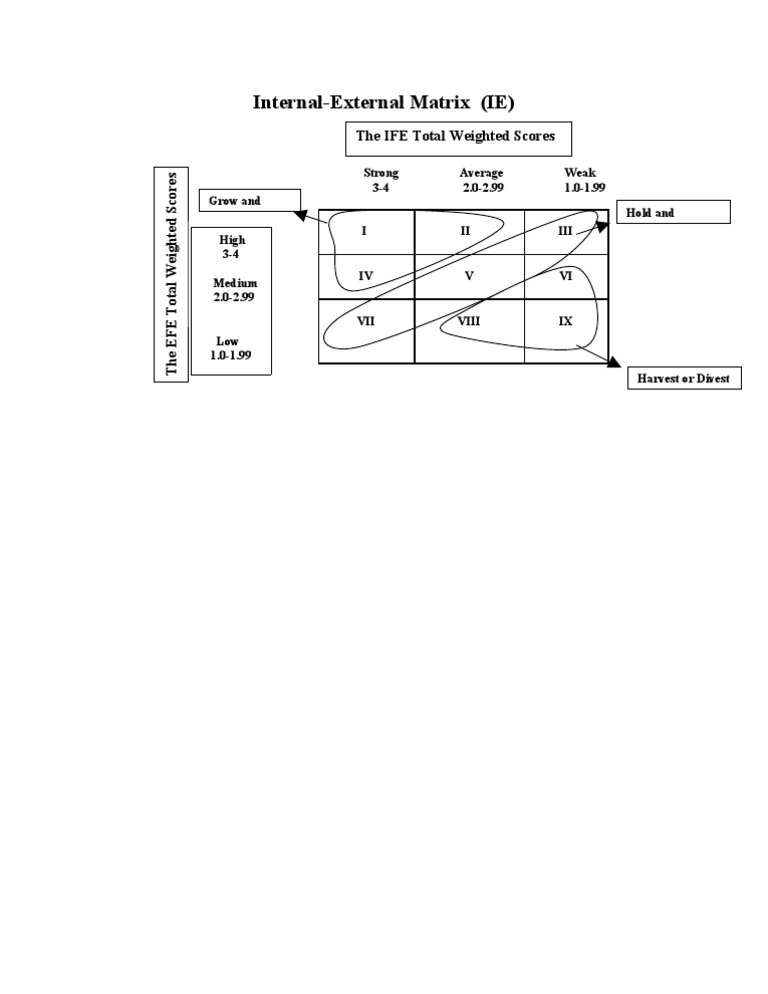 Internal External Matrix | PDF