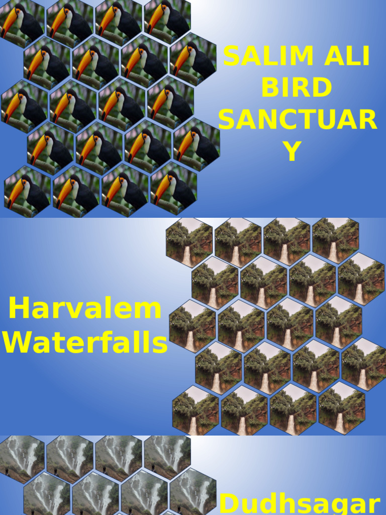 Birds | PDF