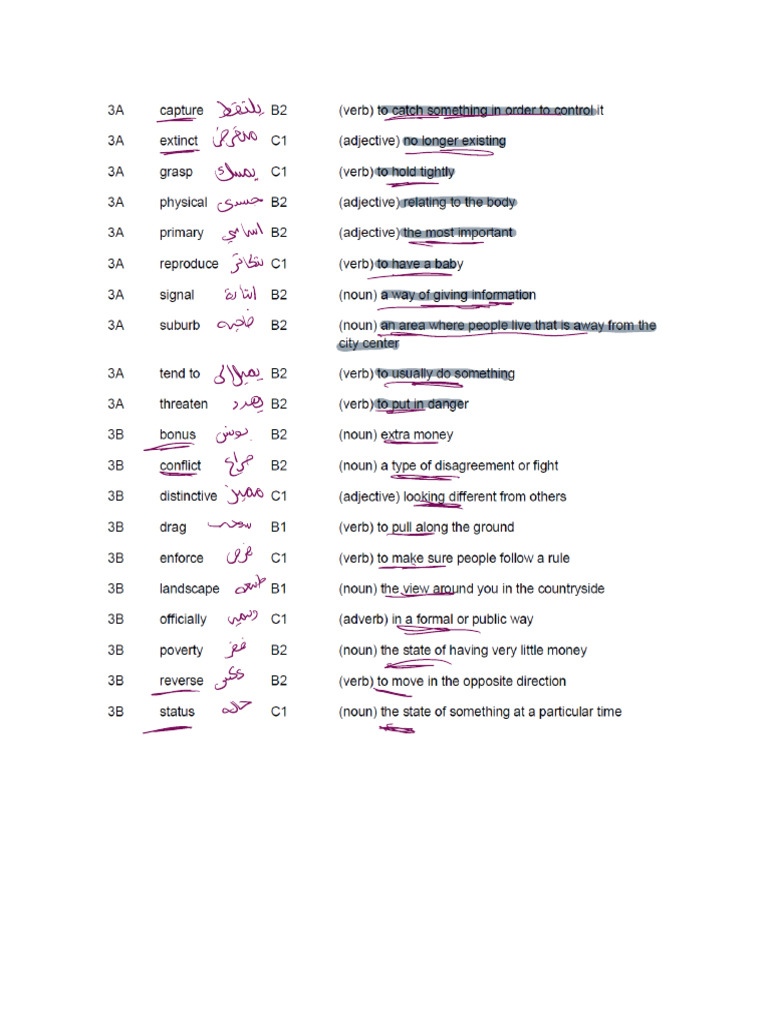 Unit 3 Vocabulary 2 | PDF