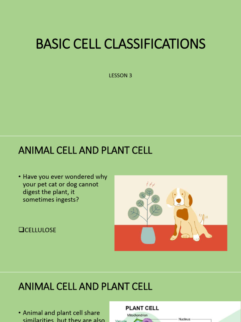 Lesson 3 - Prokaryotic and Eukaryotic Cells (Autosaved) | PDF | Cell ...