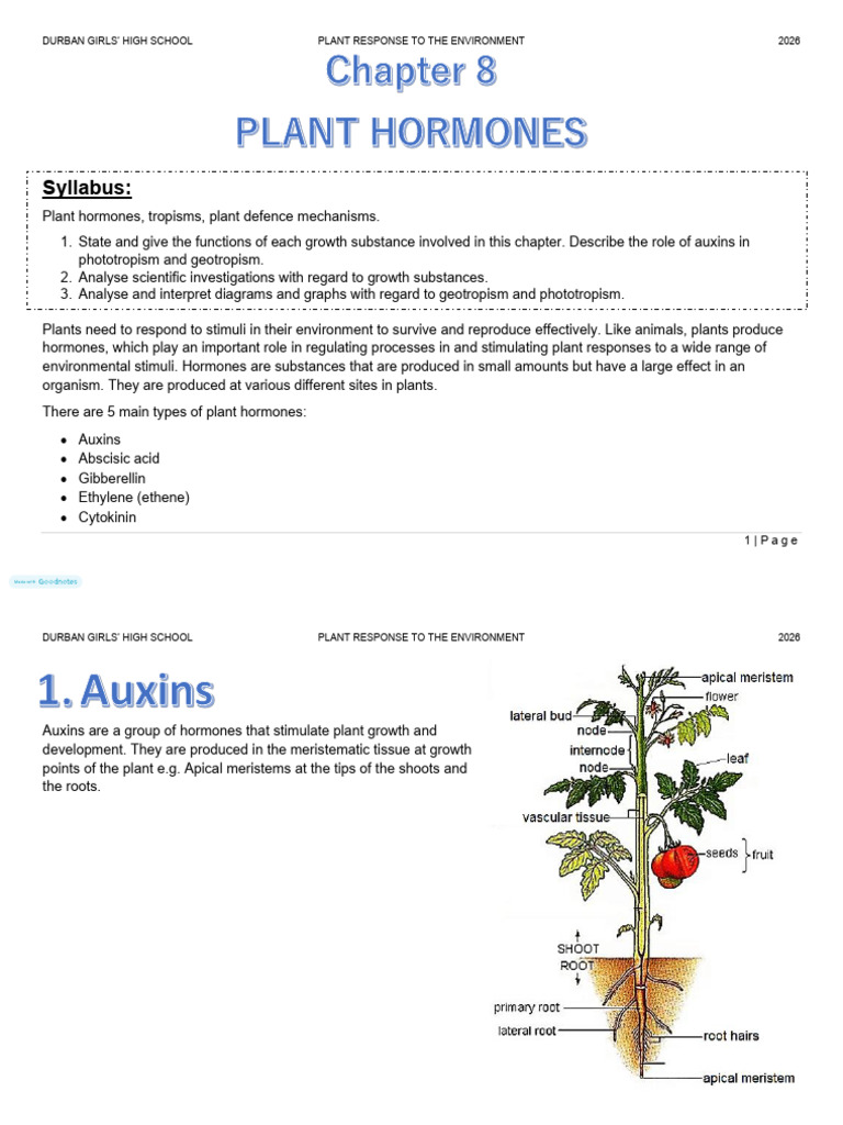Plant Hormones For Ipad 2026 | PDF | Auxin | Root