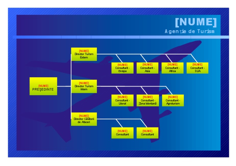 Organigrama Agentie Turism | PDF