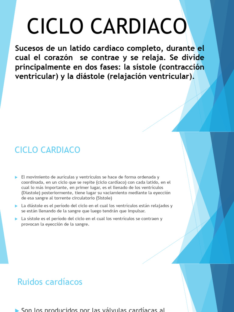 CICLO CARDIACO | PDF | Corazón | Ventrículo (corazón)