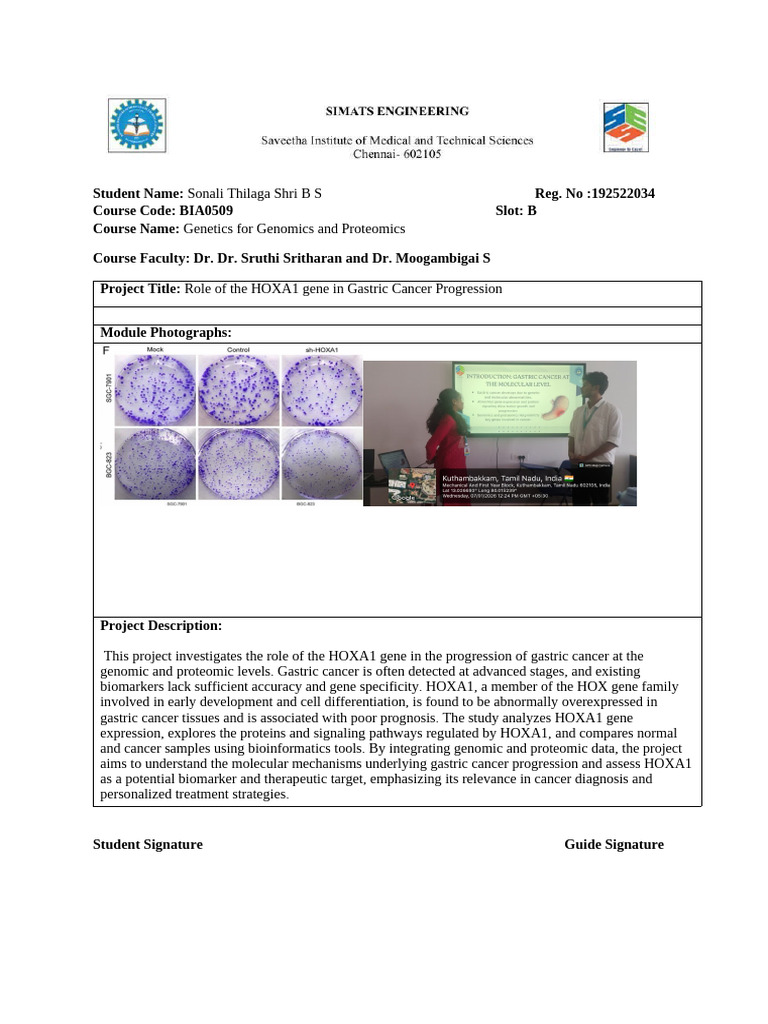 Sona One Page Write Up Genetics | PDF