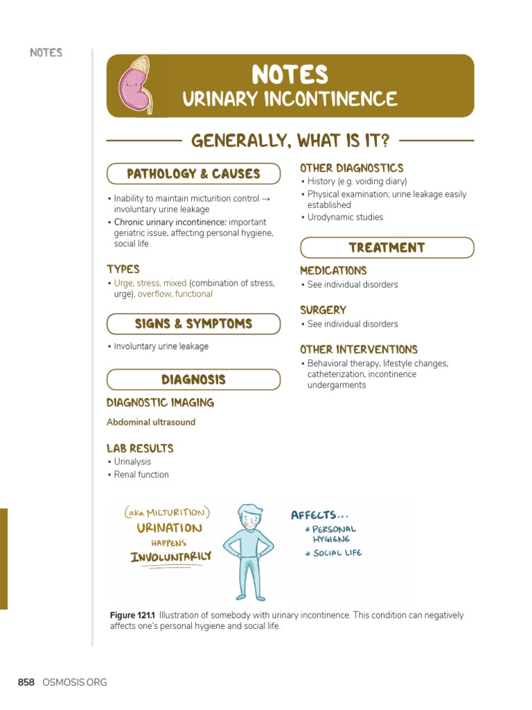 Bladder Pathology Osmosis | PDF | Urinary Incontinence | Urination