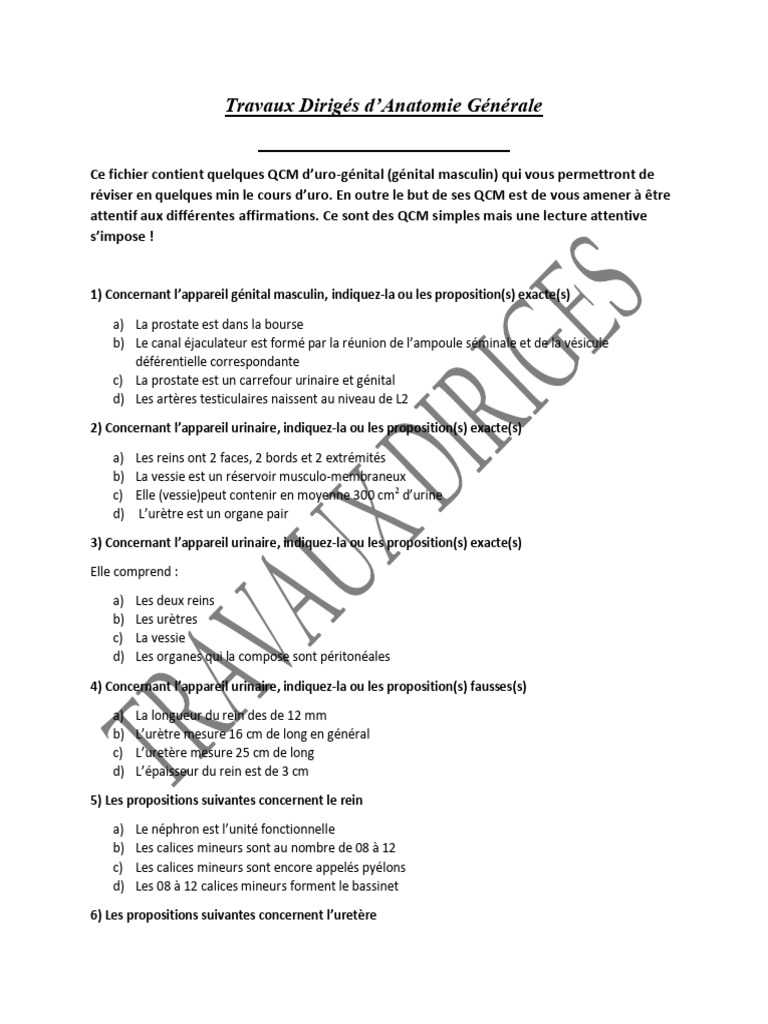 Uro-Genital TD | PDF | Appareil urinaire | Prostate