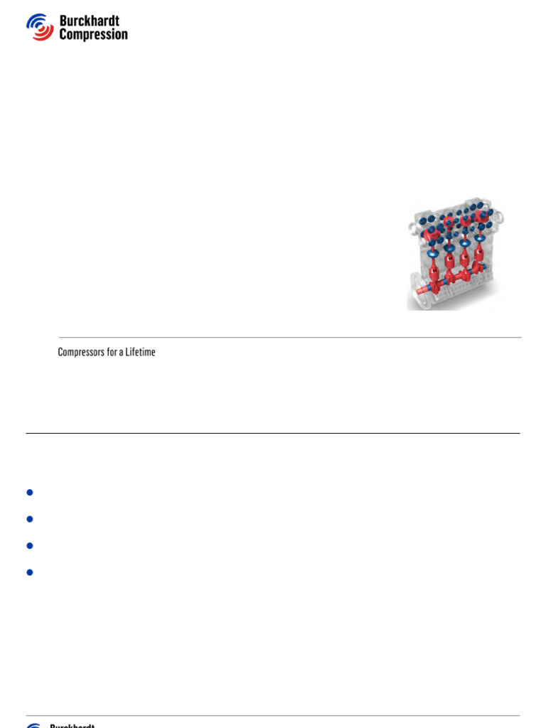 Burkhardt No3 CTL3_Detail and Design Features_Rev01 | PDF | Piston | Valve