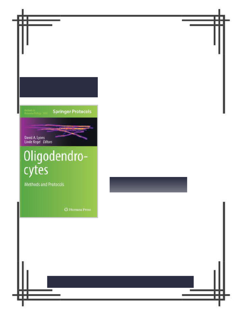 Oligodendrocytes: Methods and Protocols David Lyons eBook long edition ...