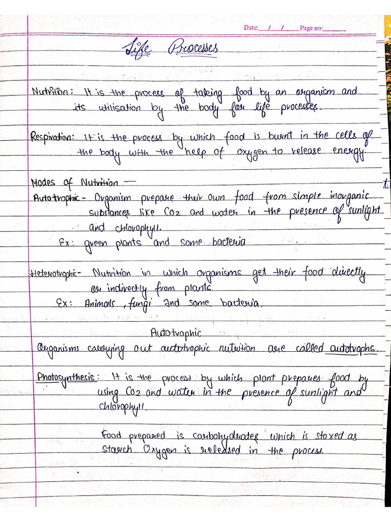 life process best notes | PDF