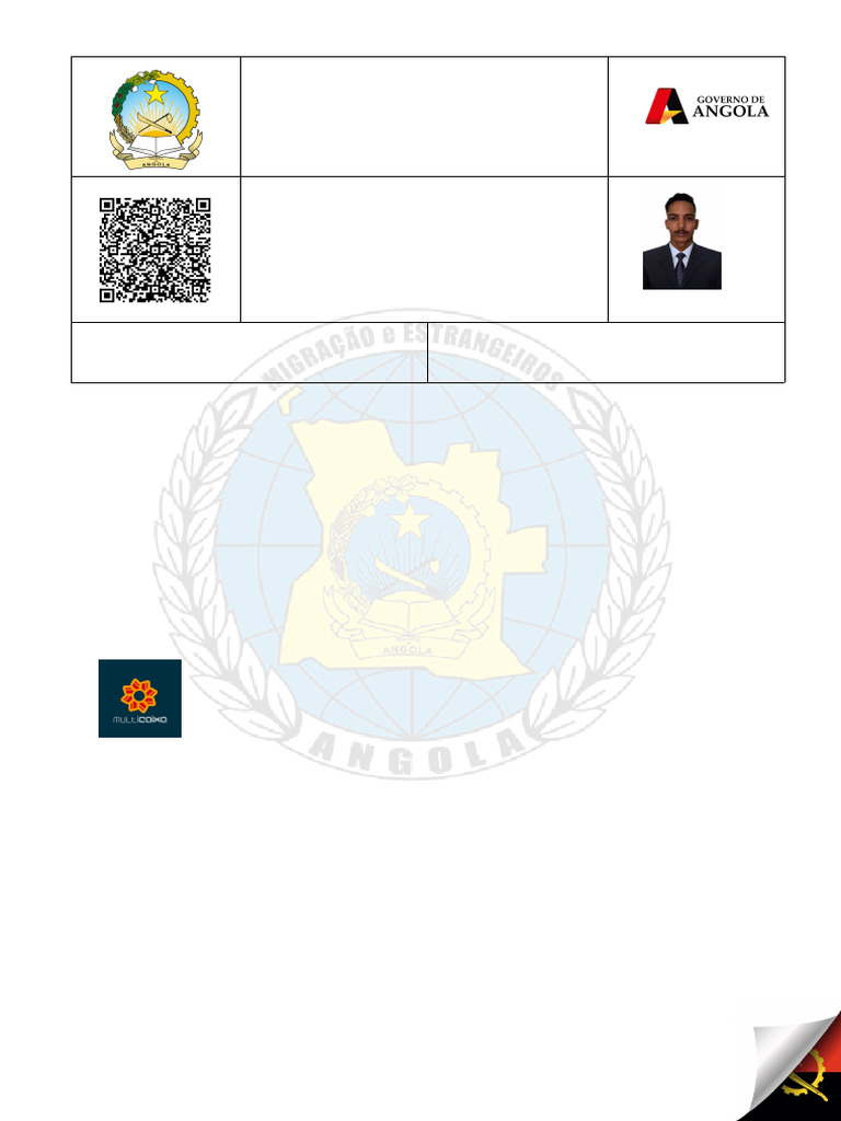 EVisa (48) | PDF | Segurança nacional | Governo e personalidade