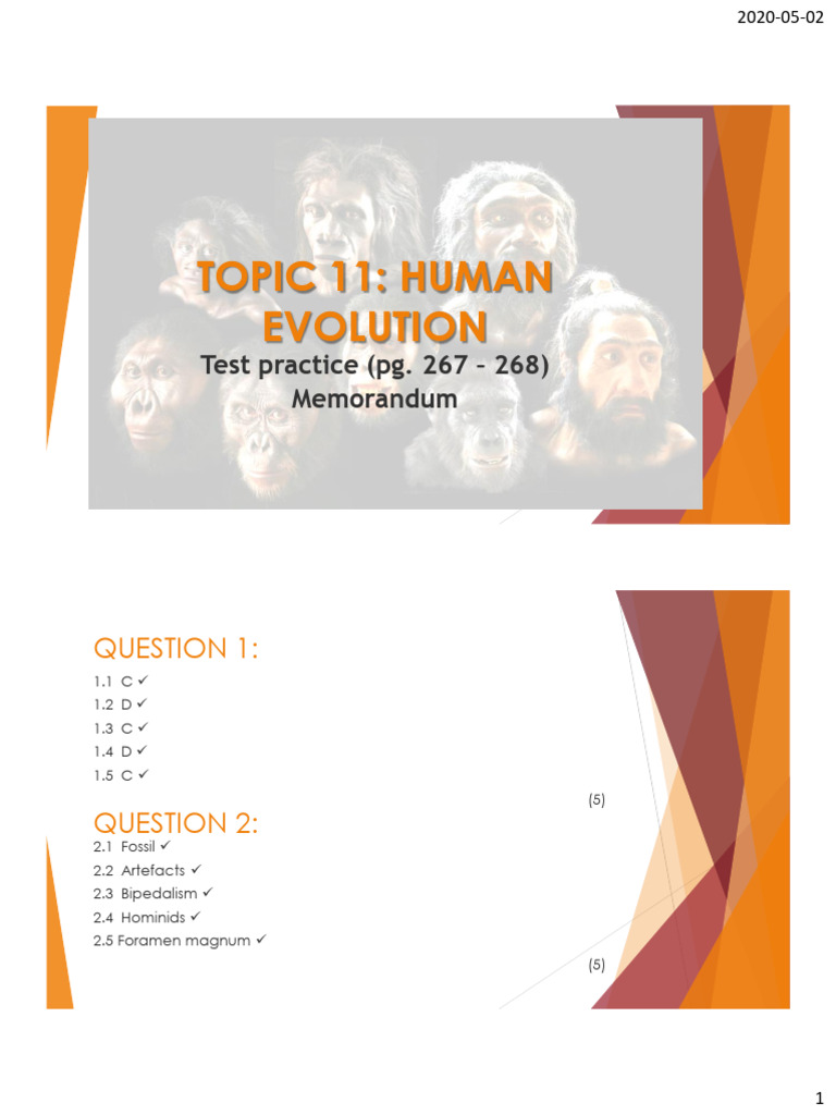 GR 12 Topic 11 Human Evolution Test Practice Memo | PDF | Bipedalism ...