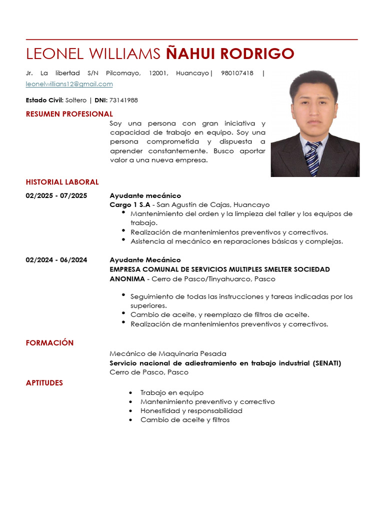 CV Actualizado 2025 | PDF