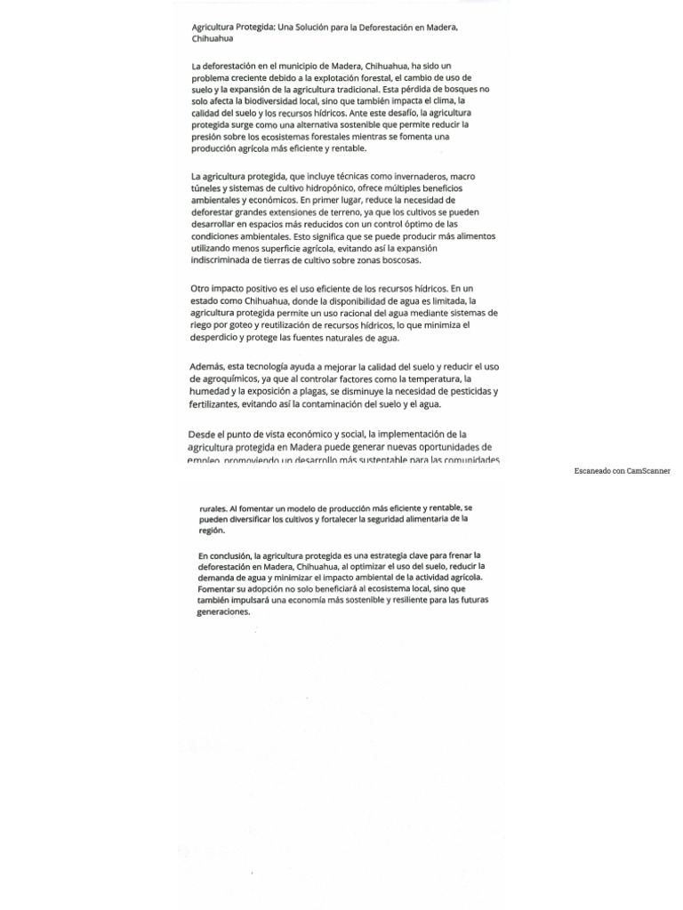 Pec Agricultura Protegida Reflexión Deforestación | PDF