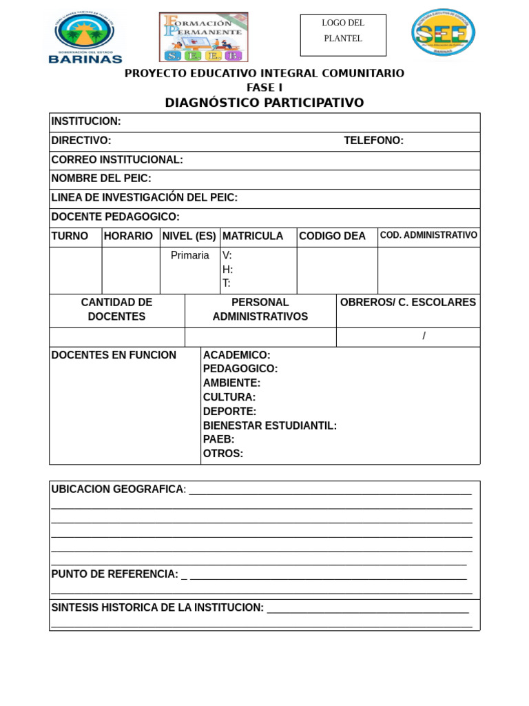Formato de Peic | PDF
