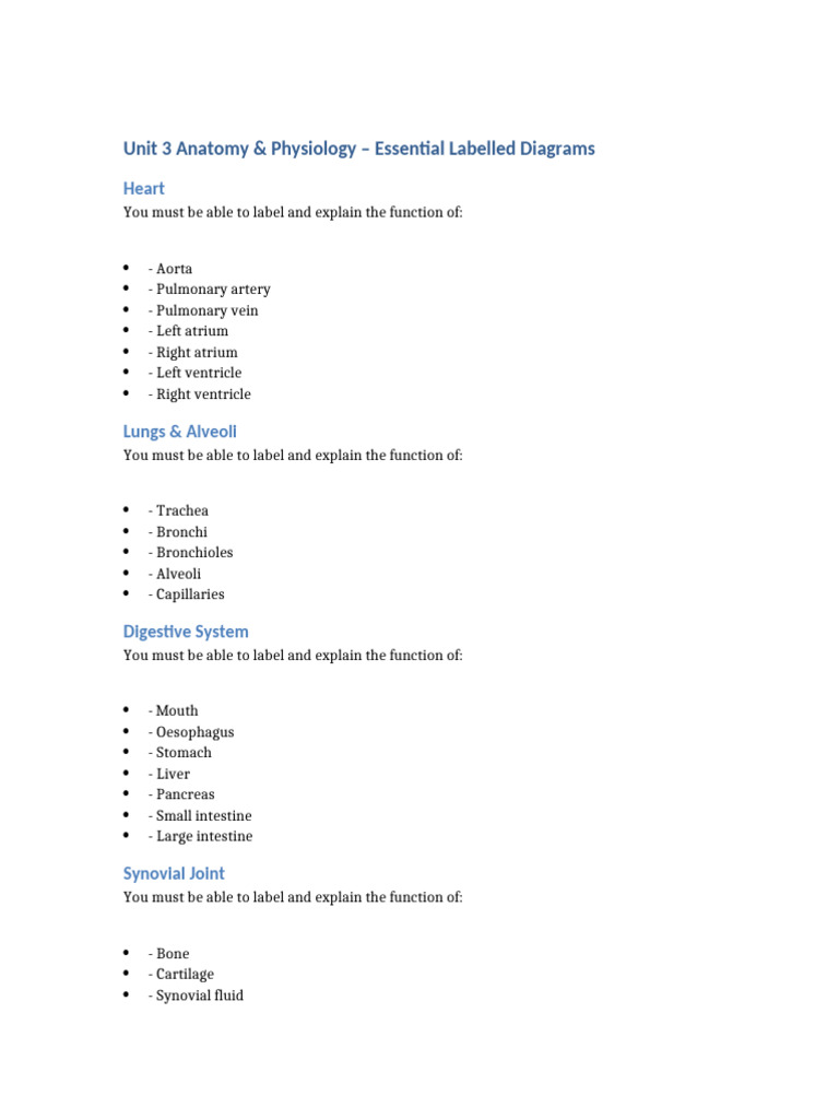 Unit 3 Anatomy Labelled Diagrams | PDF