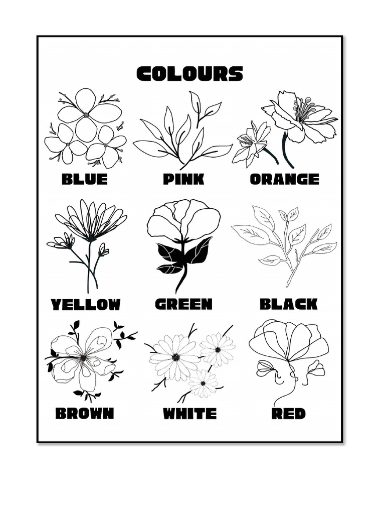 Colours Classroom Posters Fun Activities Games Picture Dic 133952 | PDF