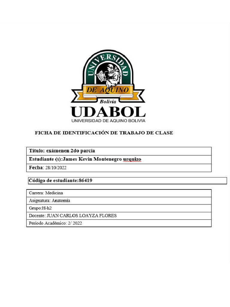 Universidad Udabol | PDF