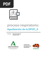 EPOC Clasificacion Anthonisen | PDF