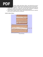 Struktur Primer dan Sekunder Geologi | PDF