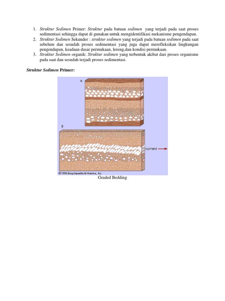 Struktur Sedimen Primer | PDF