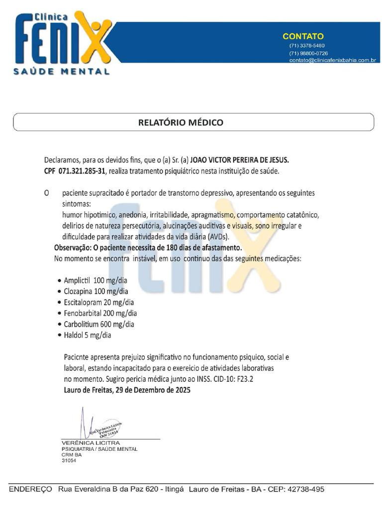 Relatorio Joao Victor_page-0001 | PDF