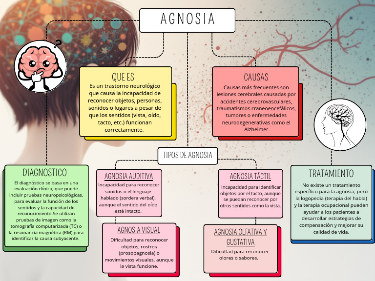 Mapa Conceptual Agnosia | PDF | Enfermedades y trastornos | Sistema ...