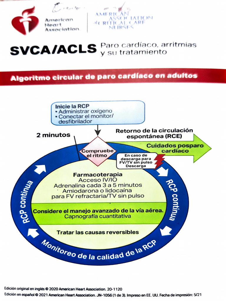 ACLS Algoritmos | PDF | Reanimación cardiopulmonar | Paro cardíaco