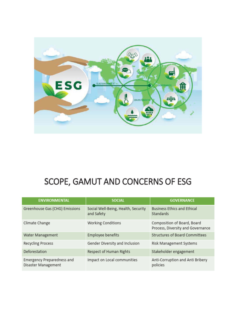 conceptual_framework_of_esg_BRSR_Jan 9 | PDF | Life Cycle Assessment ...