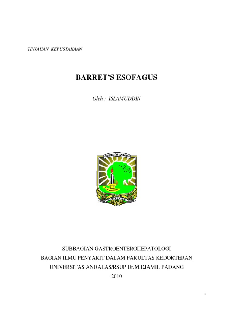 Barrets Esofagus | PDF
