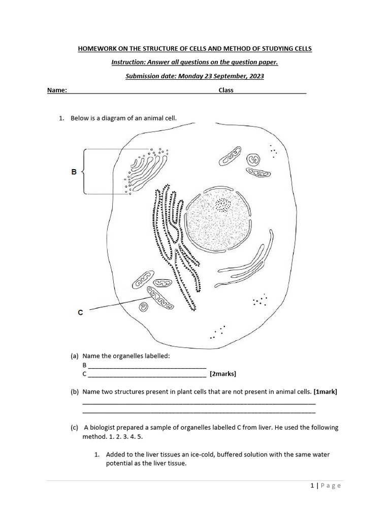 Emaan Malik Homework On Cells | PDF | Centrifuge | Laboratory Techniques