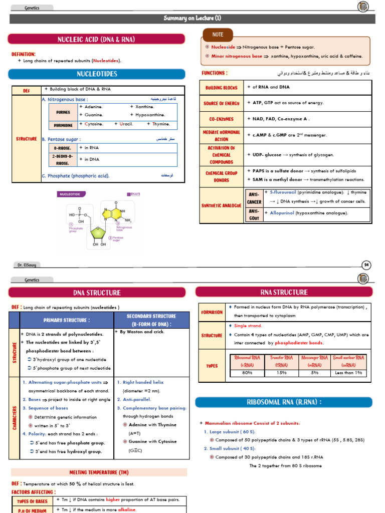 ⭐️ Genetics Book - Dr. Elsawy | PDF | Dna Replication | Rna