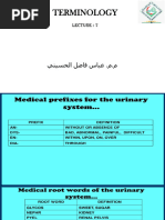 Urinary System Medical Terminology Guide | PDF | Kidney | Urinary System