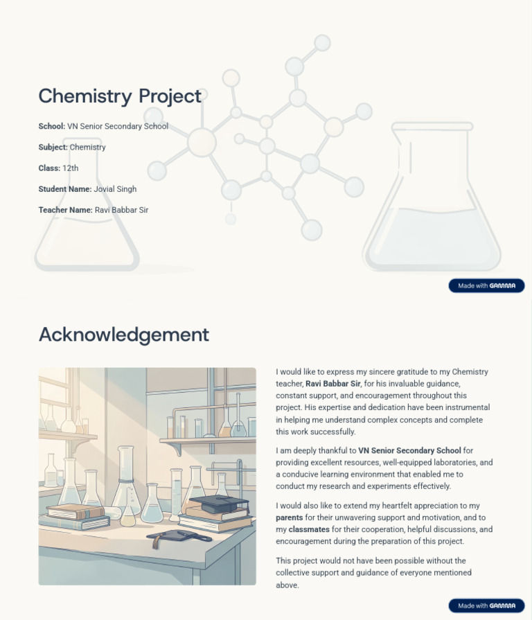 Chemistry Project | PDF