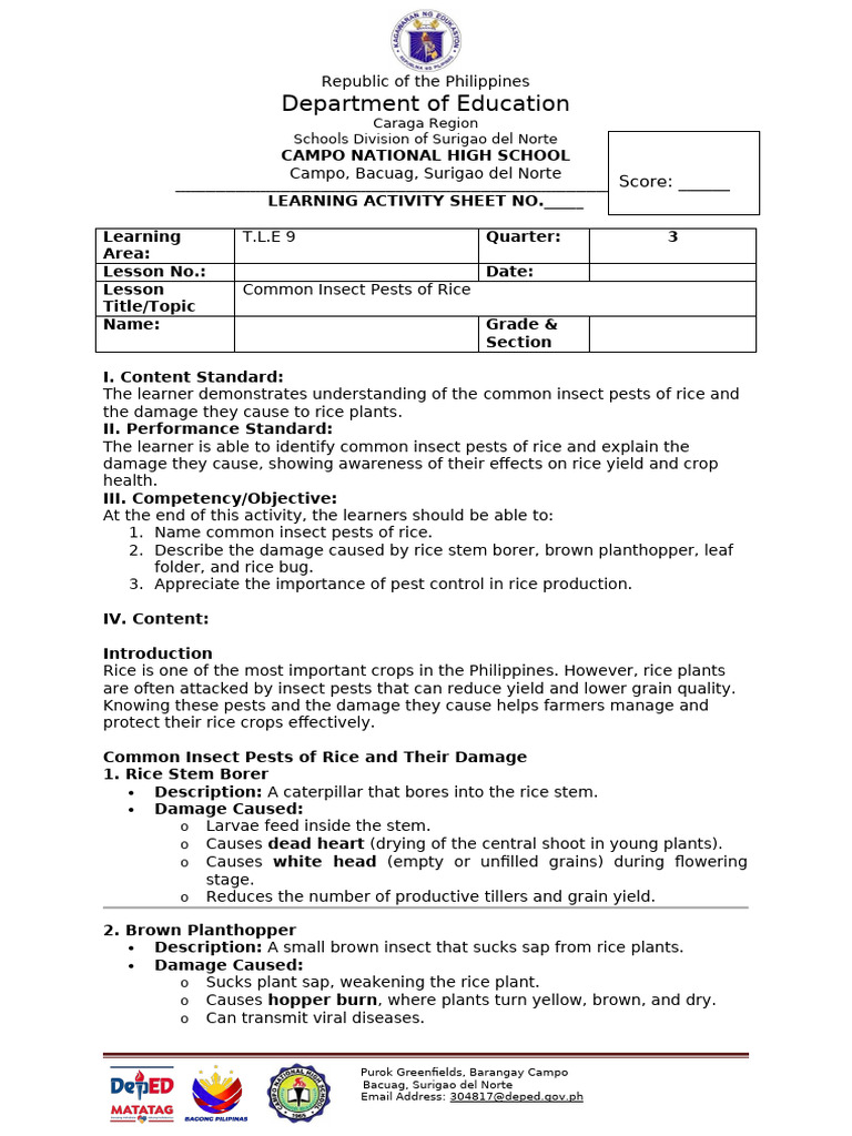 T.L.E LAS 03-12-2025 - Grade 9 Common Insect Pests of Rice | PDF | Rice ...