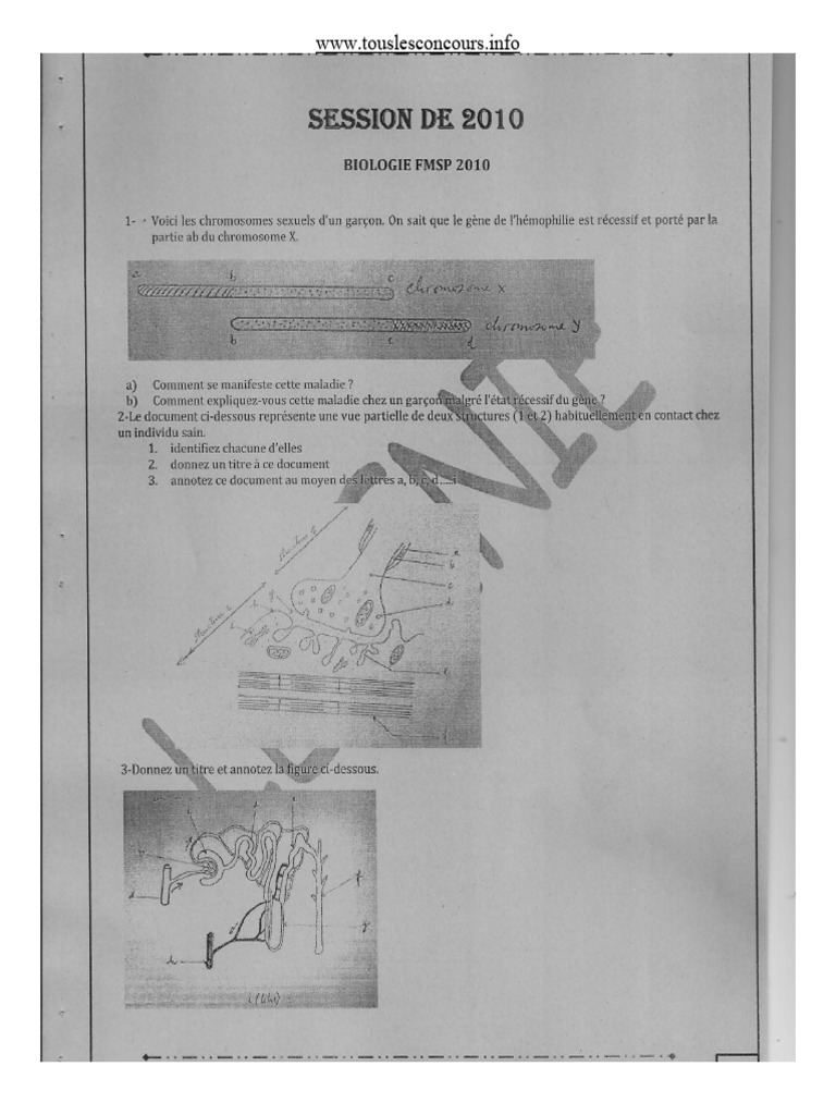 epreuves FMSP 2010 | PDF
