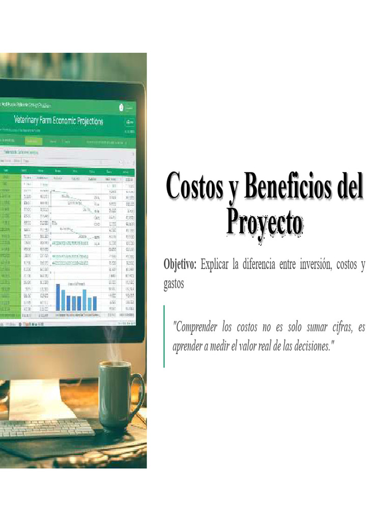 13. Costos y Beneficios Del Proyecto | PDF | Iniciativa empresarial | Beneficio (economía)