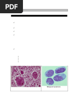 Endophytic vs Exophytic Tumors Explained | PDF