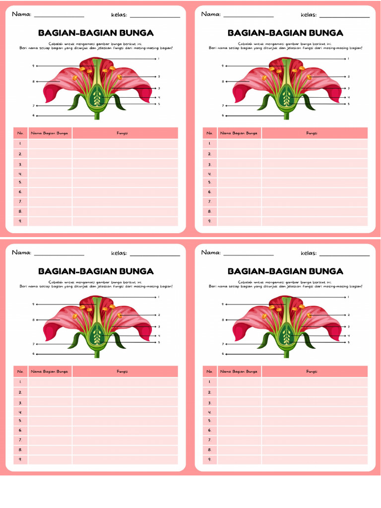 Bagian-Bagian Bunga | PDF